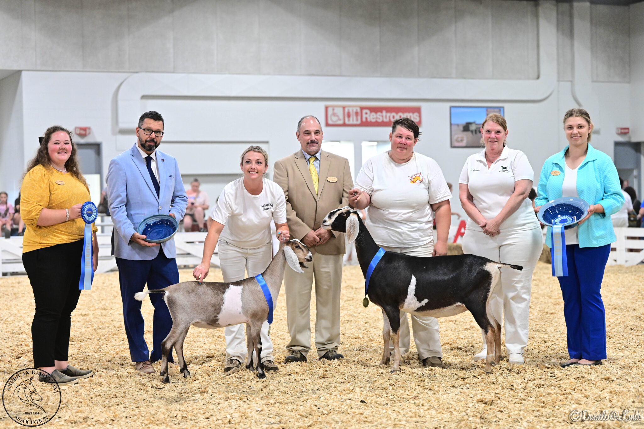 Nubian Results - American Dairy Goat Association National Show